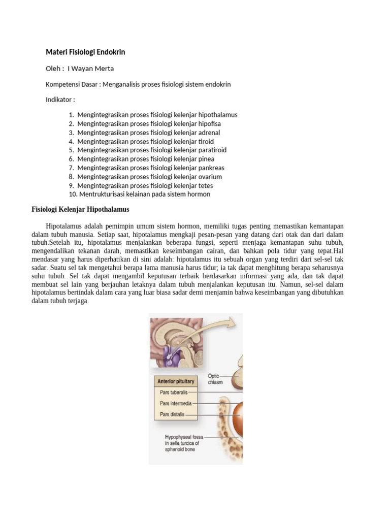 Materi Fisiologi Endokrin 1 | PDF | Kesehatan Holistik