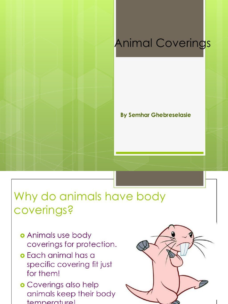 Animal Covering | PDF