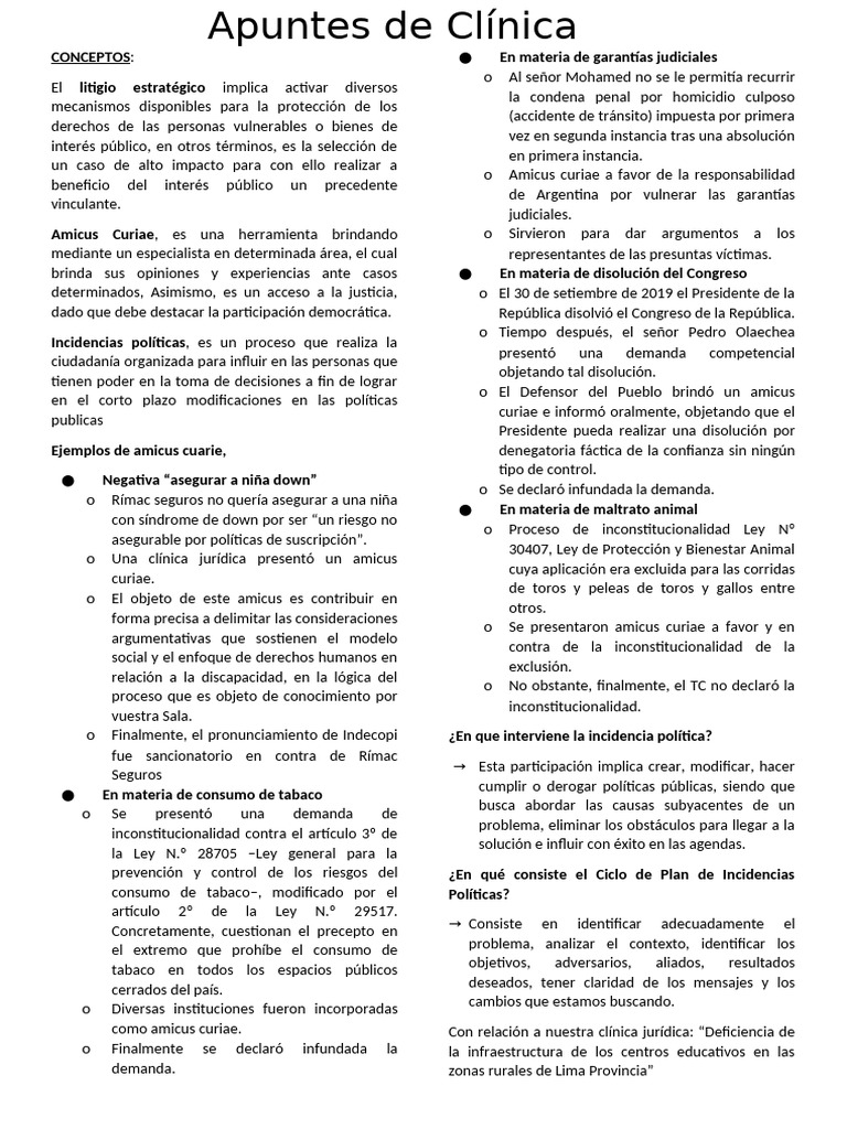 Litigio Estratégico y Amicus Curiae | PDF | Amicus Curiae | Justicia