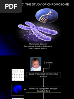 Acgs Best Practice Guidelines For Constitutional Karyotype Analysis and Targeted Chromosome ...