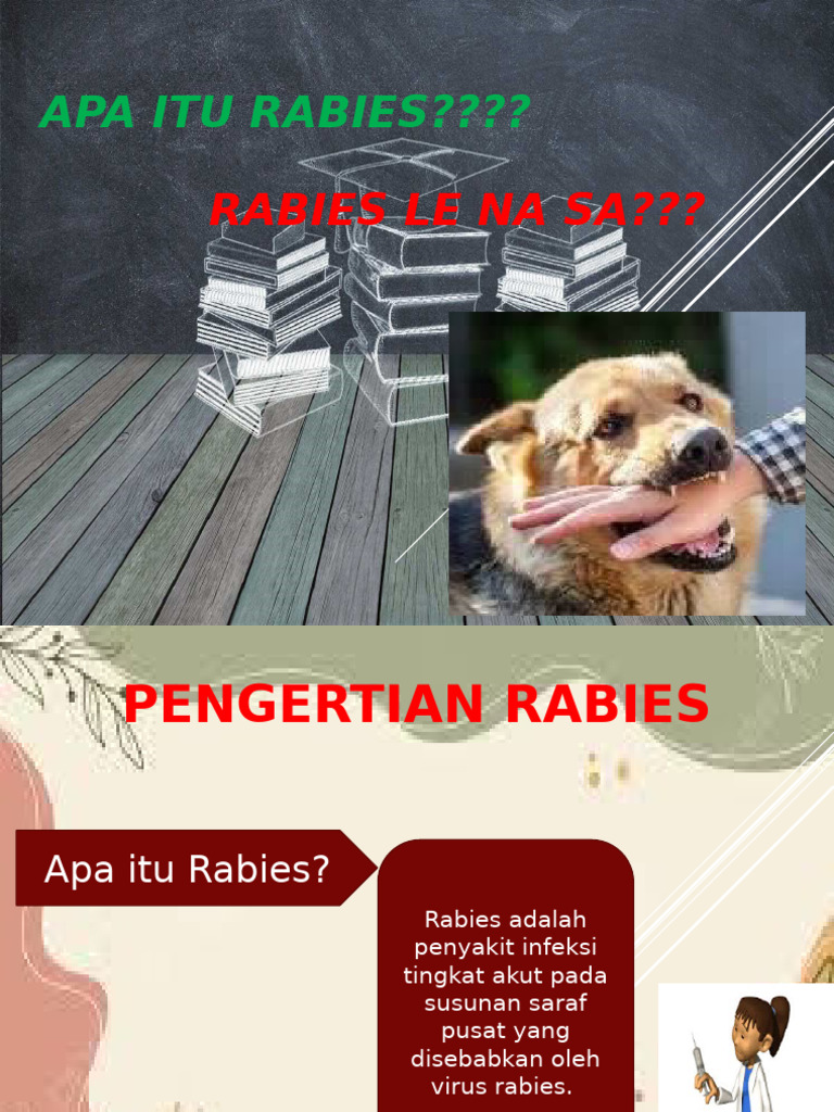 Power Point Rabies PKM Fatukopa | PDF