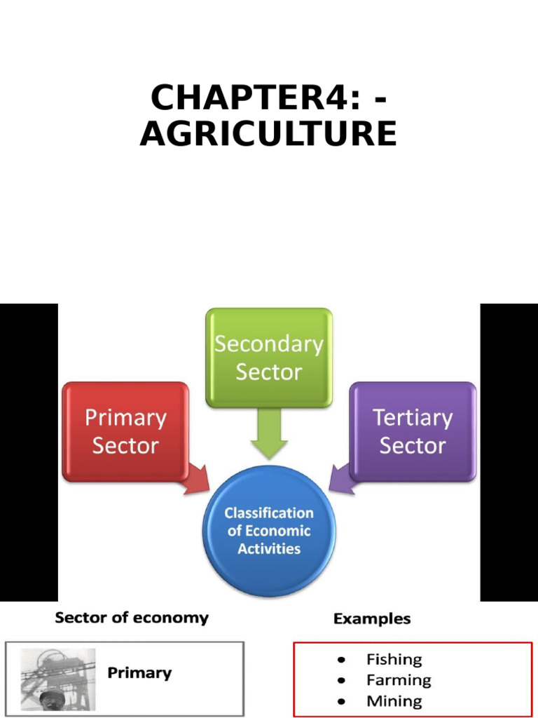 Chapter 4 Agriculture | PDF | Agriculture | Farms