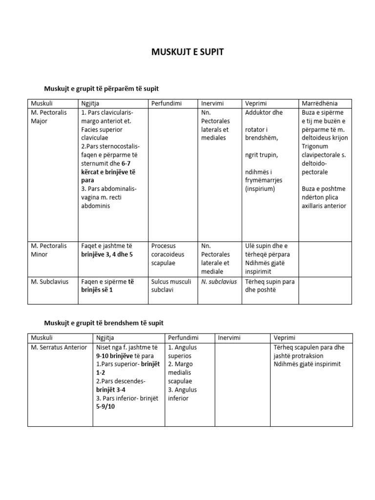 Musculi Membri Superioris | PDF