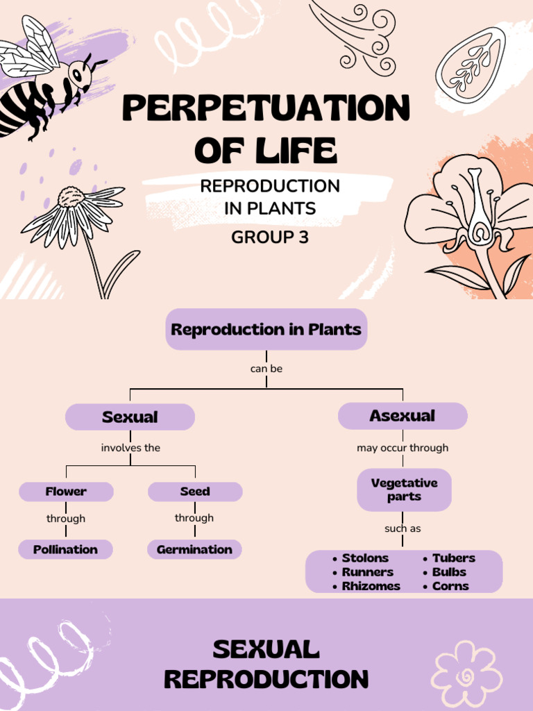 els group 3 report | PDF | Flowers | Seed