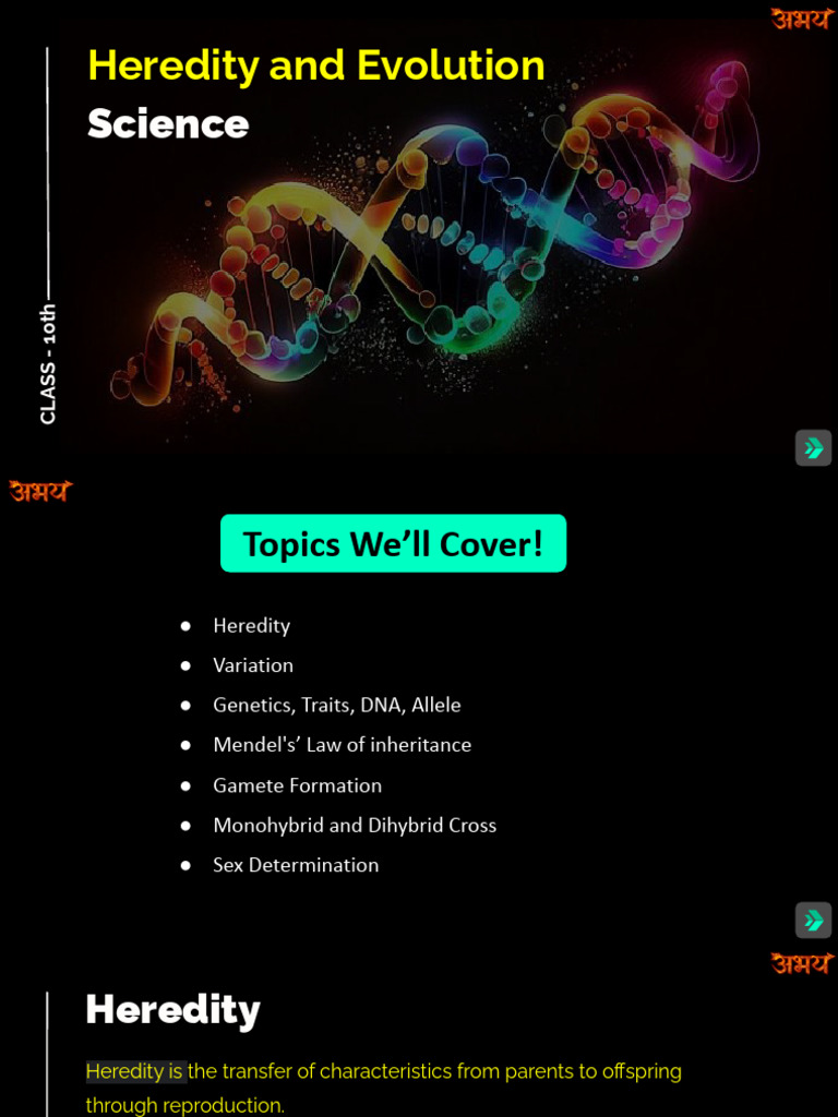 Heredity and Evolution | PDF | Dominance (Genetics) | Zygosity