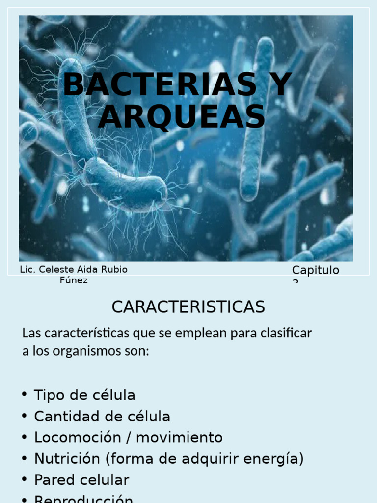 3. Bacterias y Arqueas | PDF | Las bacterias | Archaea