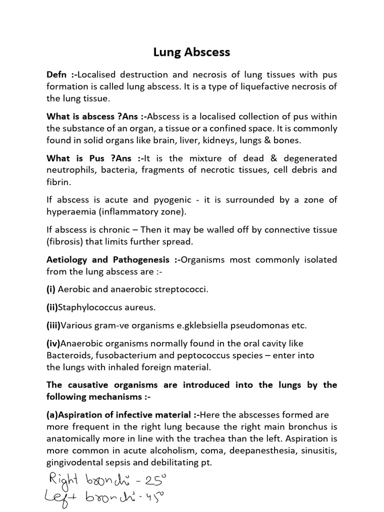 Lung Abscess | PDF | Pneumonia | Lung