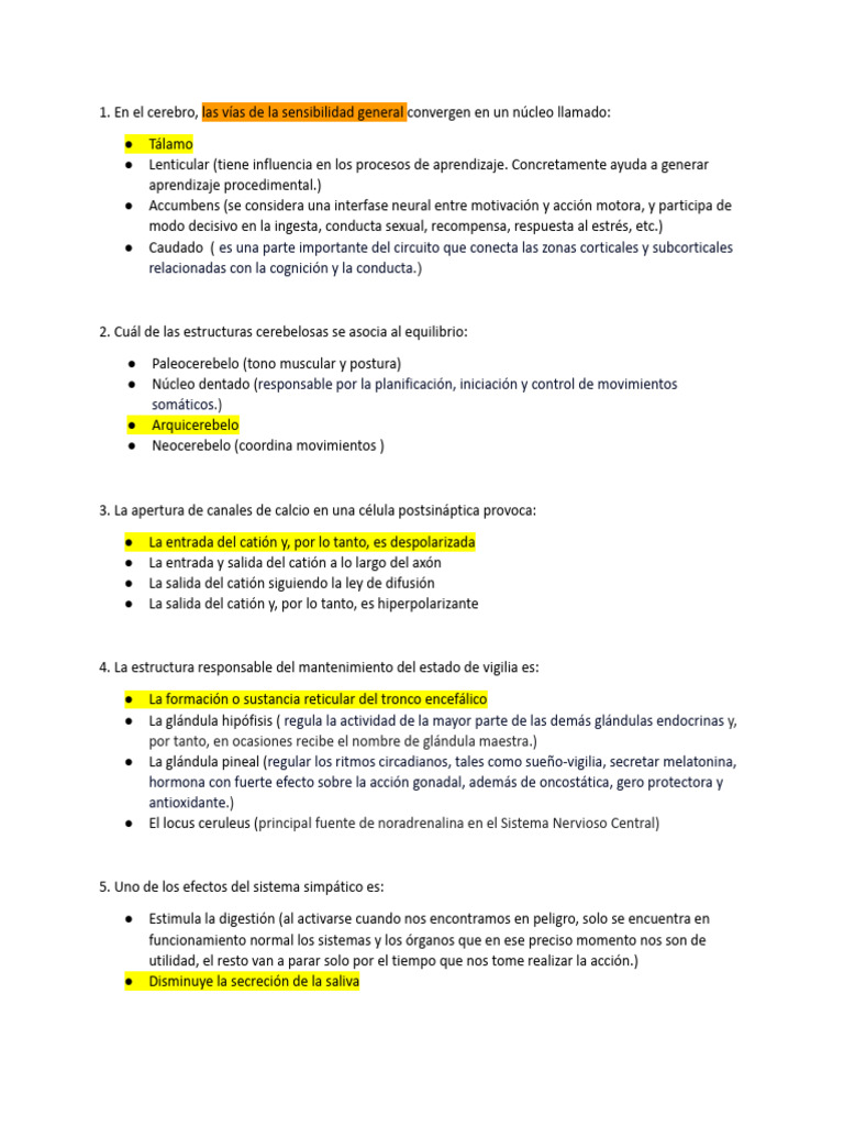Modelo Final Neuro II | PDF | Cerebro | Percepción visual