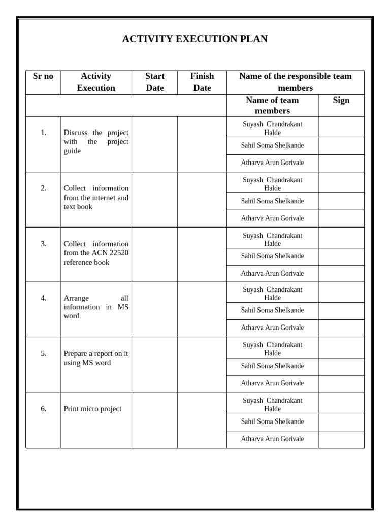 Activity Execution Plan | PDF