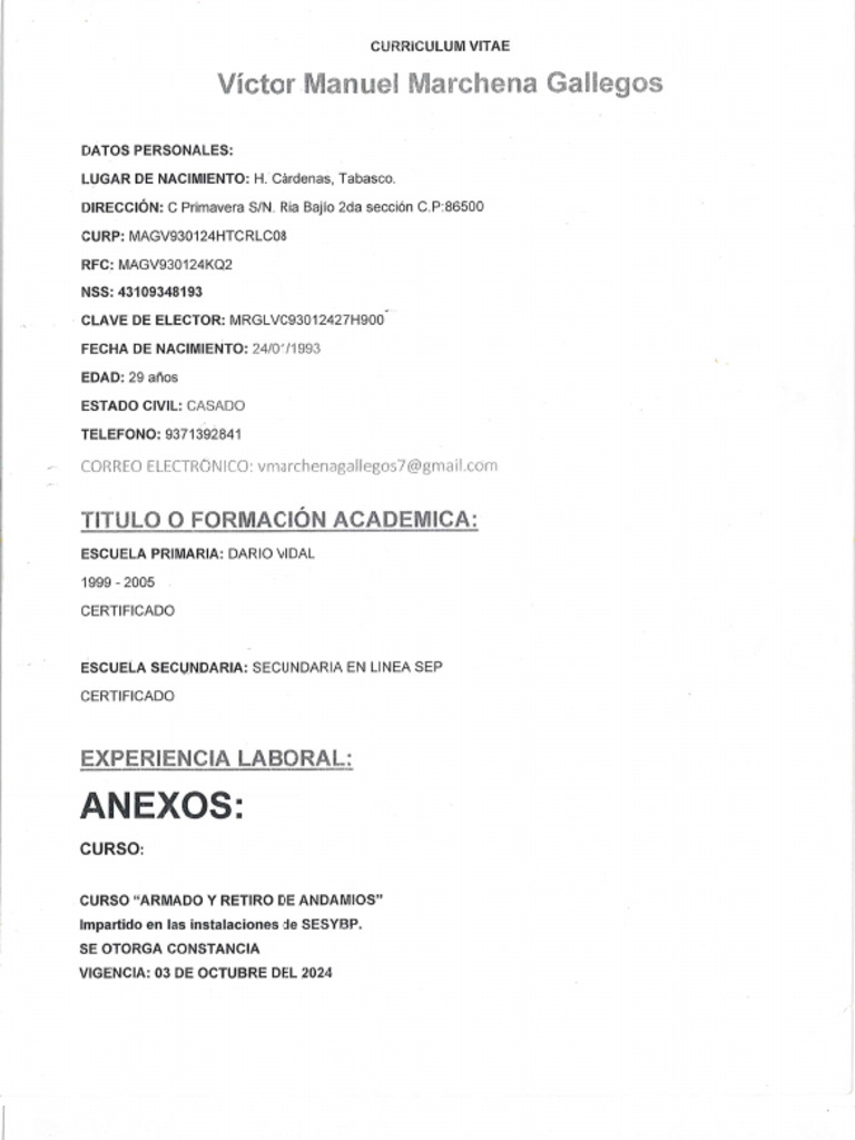 CV Víctor Manuel Marchena Gallegos | PDF