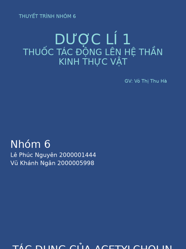 Nhom6 Thuyetrtinh Dl1 St4 | PDF