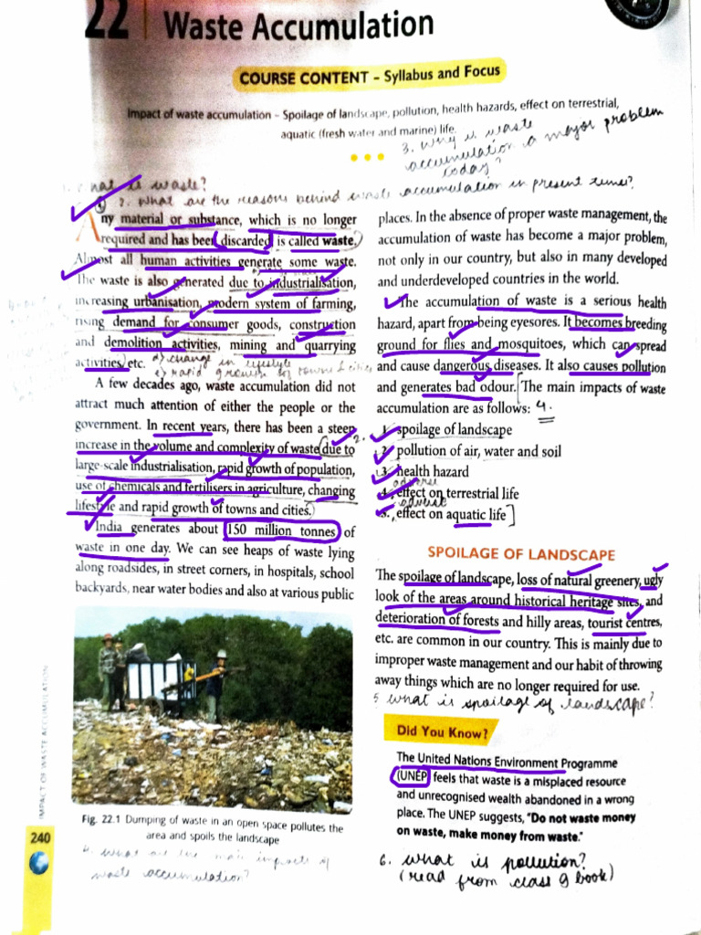Causes and Effects of Waste Accumulation | PDF | Landfill | Waste