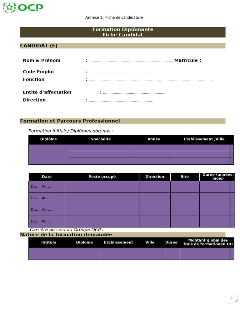 Annexe 1 - Fiche de Candidature - Formation Diplômante | PDF