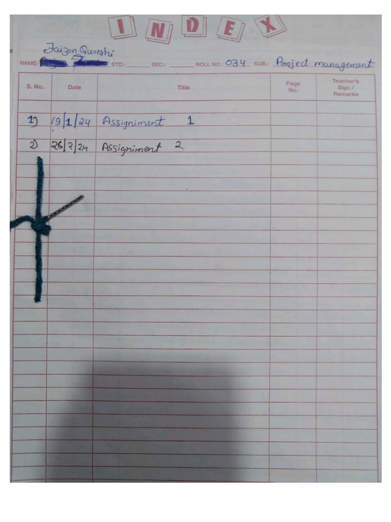 Project Management Assignment 2 | PDF