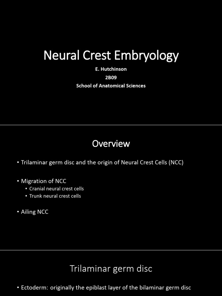 Neural Crest Embryology and Development of The Head and Neck Structures ...