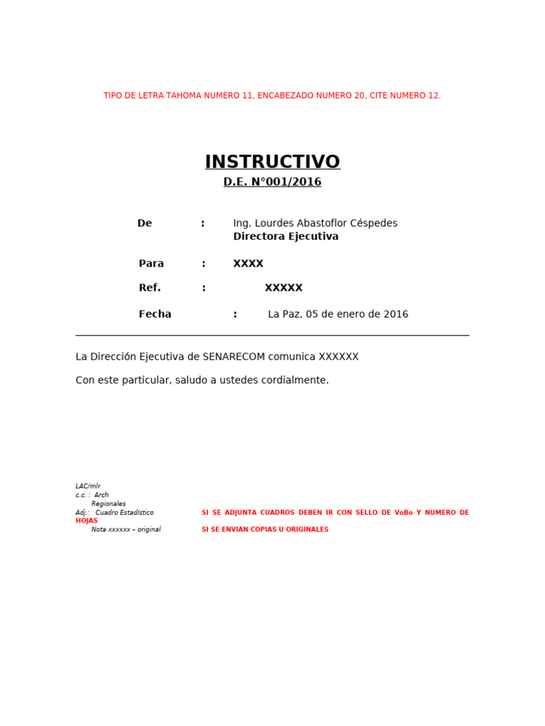 Modelo Instructivo | PDF
