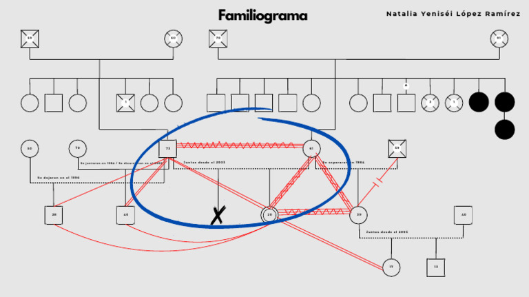 Familiograma | PDF