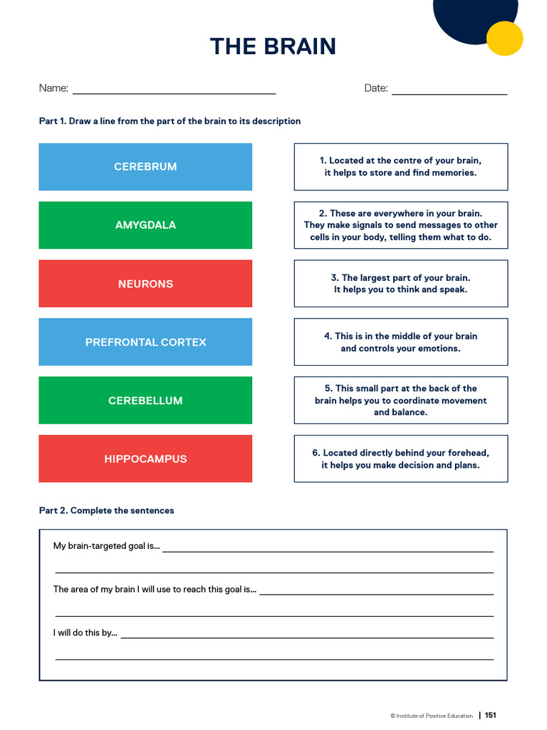 The-Brain-p-151 | PDF