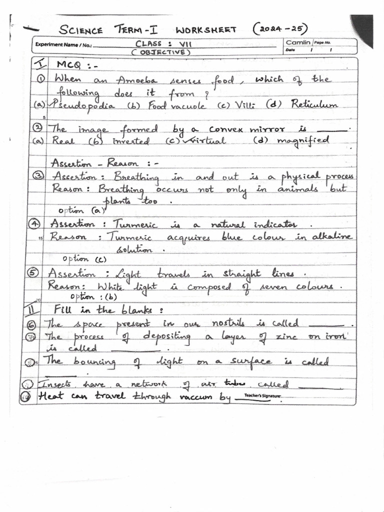 Cl7 Science WS Term1 Sep24 | PDF