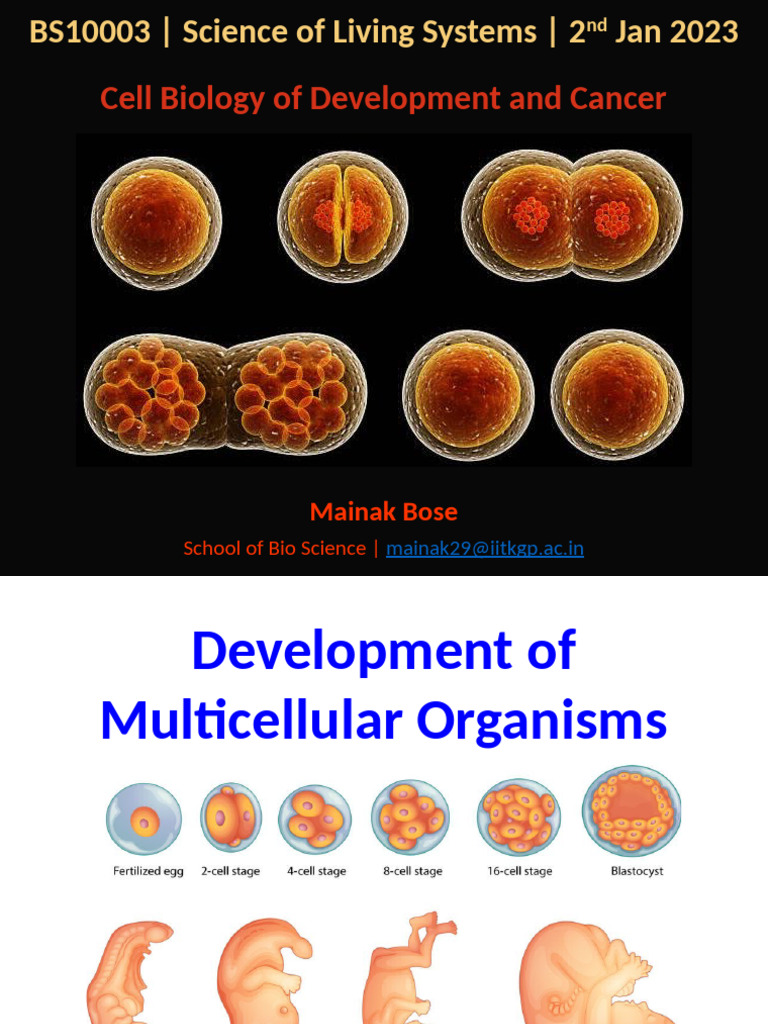 BS10003 - Cell Biology and Cancer | PDF | Ploidy | Cell Cycle