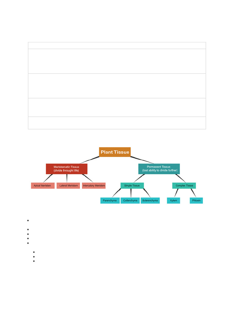 Class 9th Tissue Notes | PDF | Epithelium | Tissue (Biology)