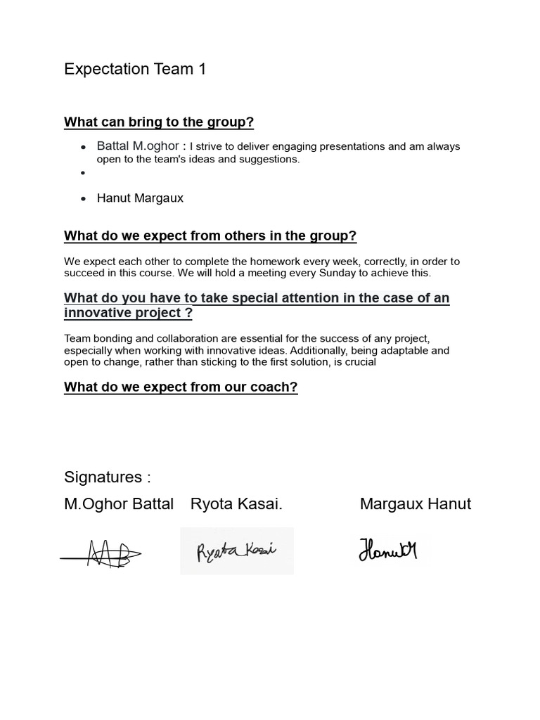 Expectation Team 1 | PDF | Business
