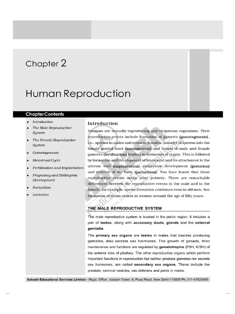 Human Reproduction | PDF