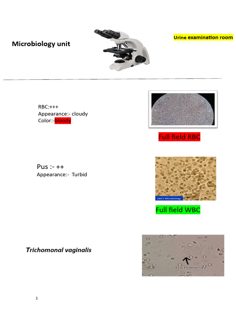 نسخة Ameer 2⁩ | PDF