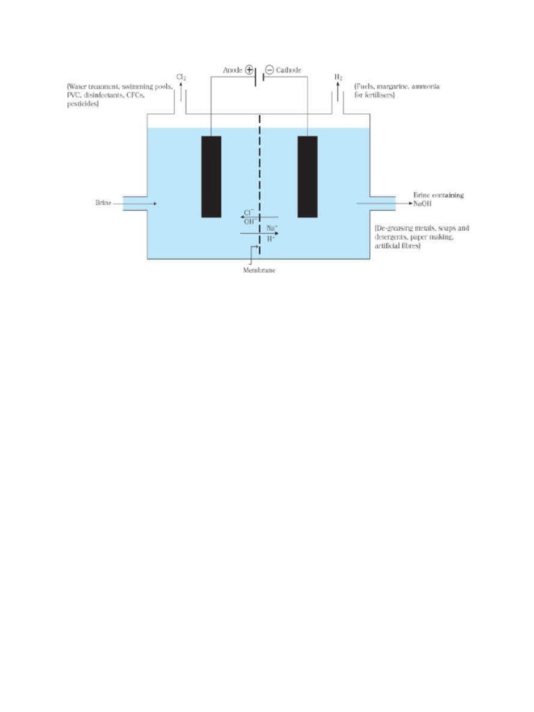 Chlor Alkali Process | PDF
