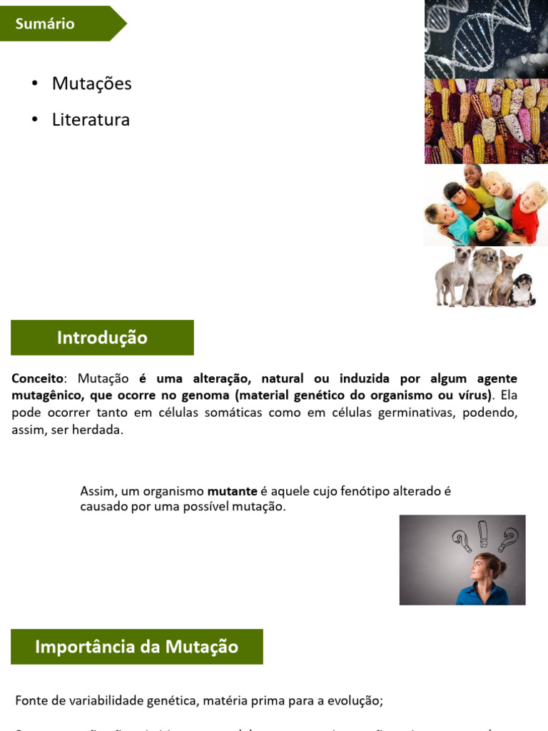 Mutações Cromossomicas Pdf Mutação Ploidia