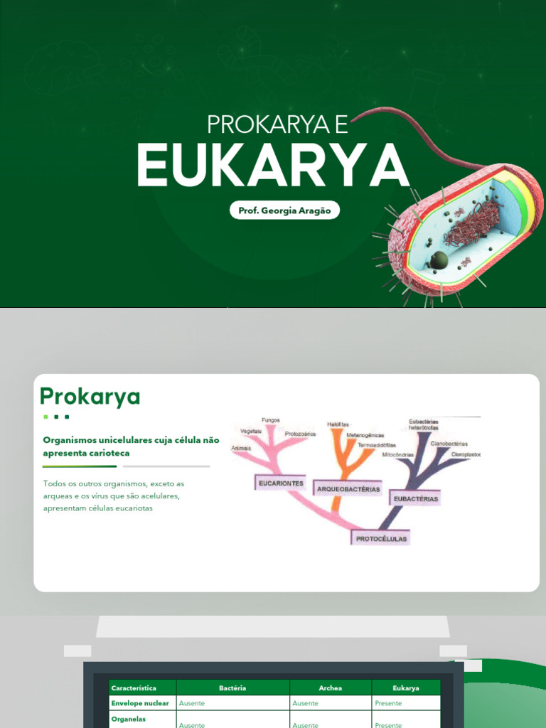 aula-prokarya-e-eukarya-protoctistas | PDF | Bactérias | Archaea