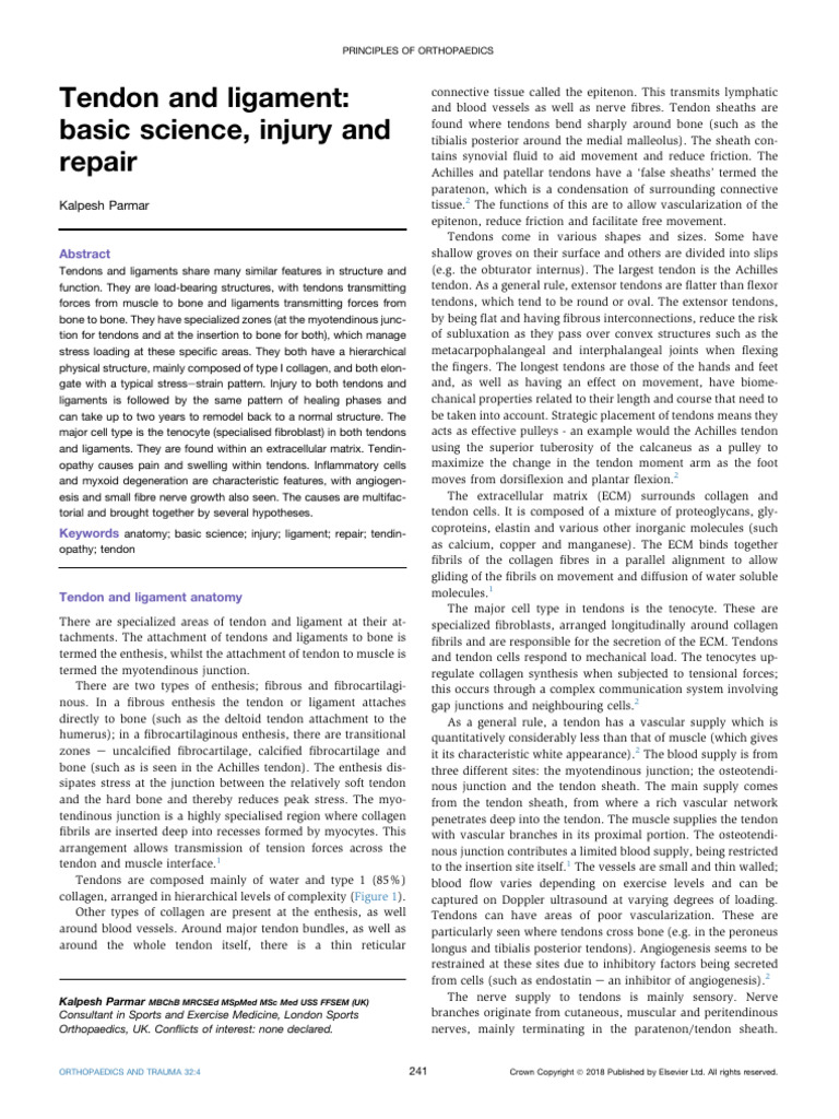 Tendon and Ligament Basic Science Injury and Repair 2018 Principles of Orthopedics | PDF ...