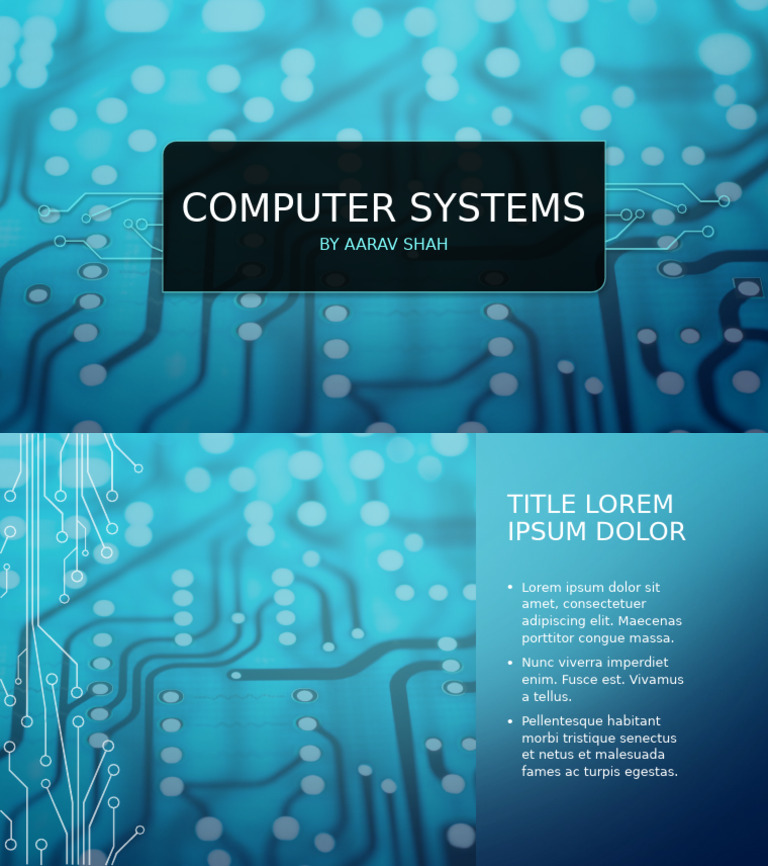 Computer Systems | PDF