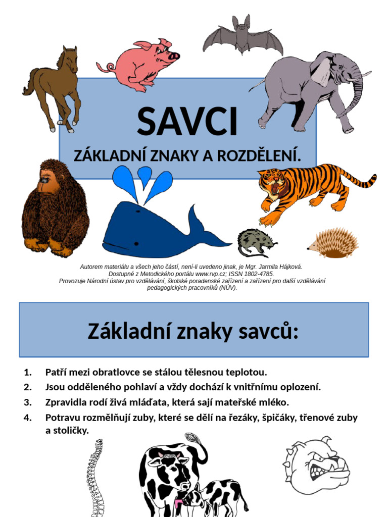 Savci - Základní Znaky A Rozdělení | PDF