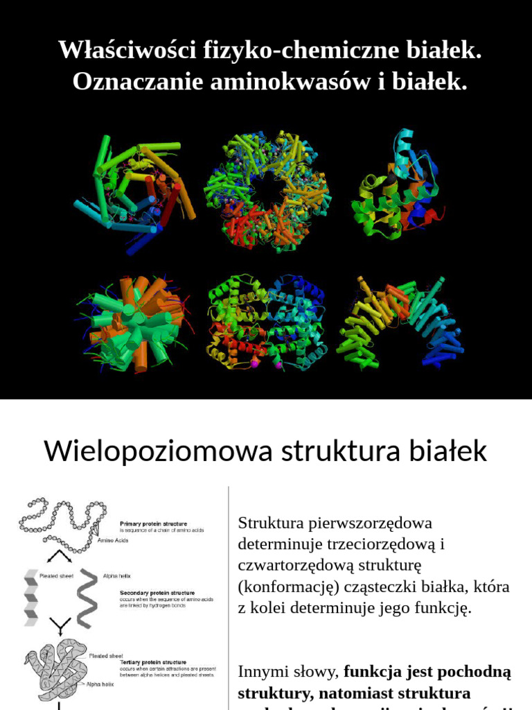 Basics of Protein Structure | PDF