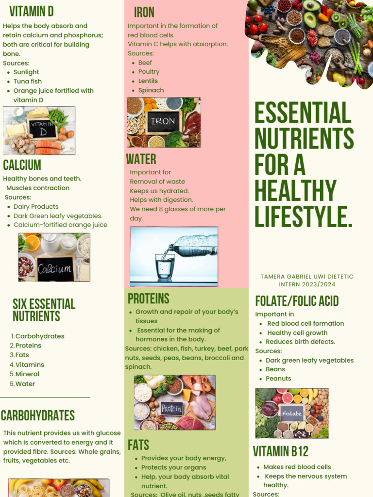 Essential Nutrients for Health | PDF | Nutrients | Vitamin