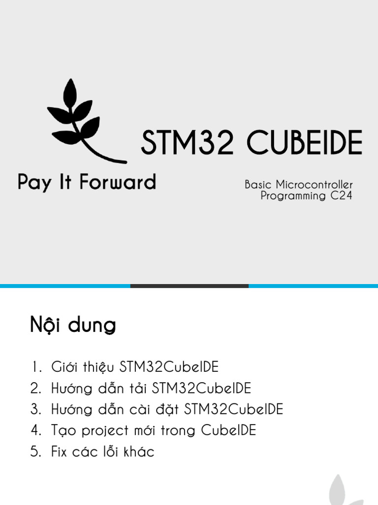 Install CubeIDE and Fix Errors | PDF