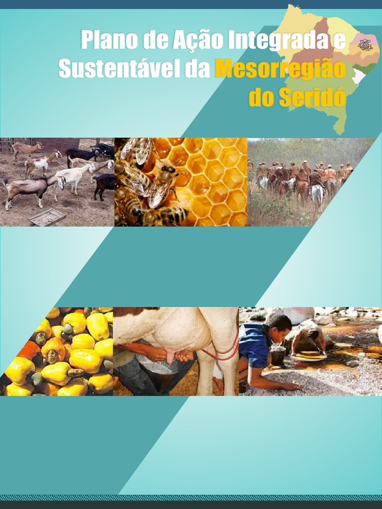 Plano de Ao Integrada e Sustentvel Da Mesorregio Do Serid | PDF ...