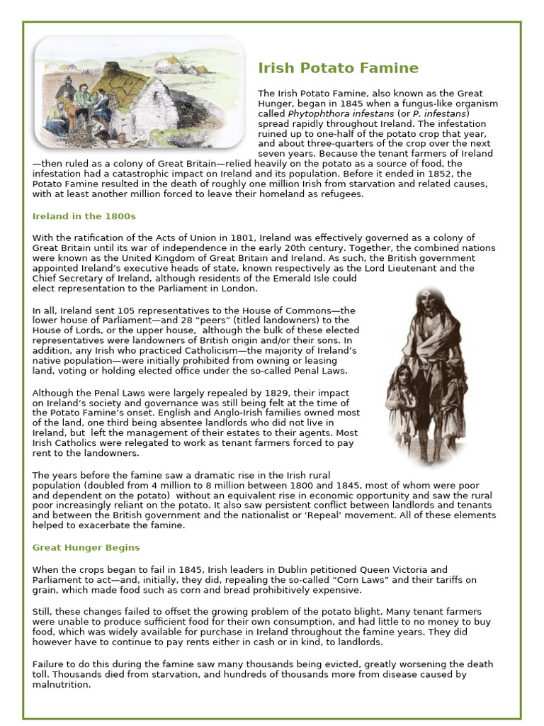 Impact of the Irish Potato Famine | PDF | Great Famine (Ireland) | Famine