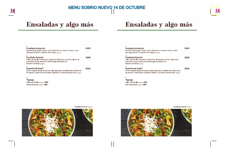 Ensaladas Pdf