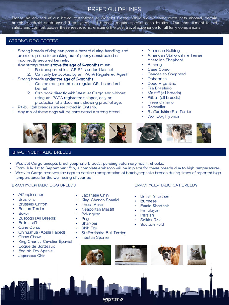 Breed and Kennel Guidelines (PDF) | PDF | Pit Bull | Dog Breeds