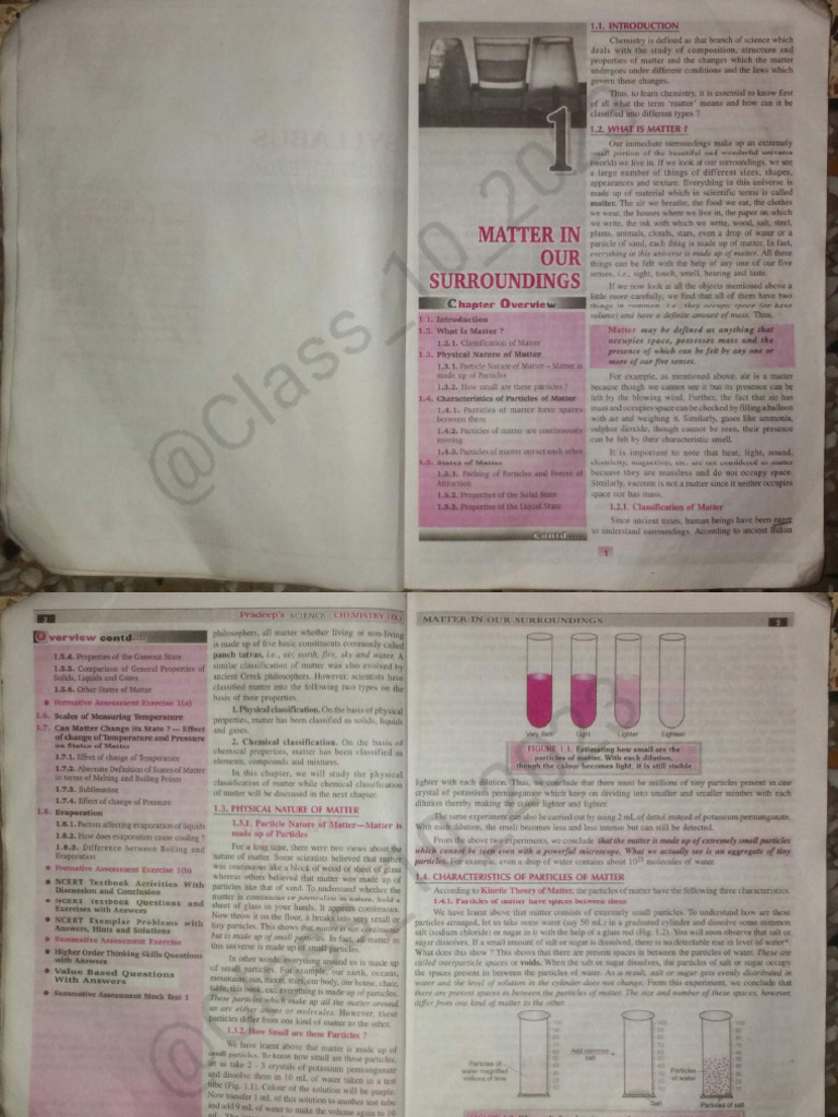 Pradeep Chemistry Class 9 | PDF