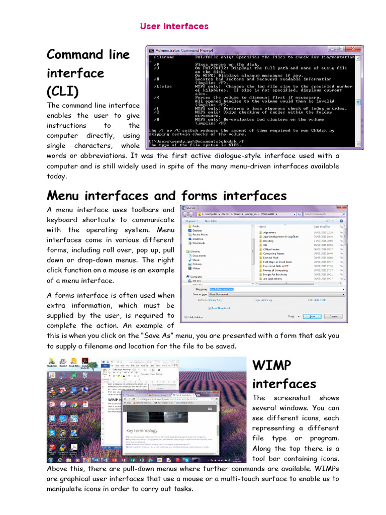 Year 8 Computing: User Interfaces Explained | PDF