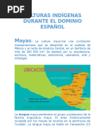 Actividades Económicas de los Mixtecos | PDF | Agricultura