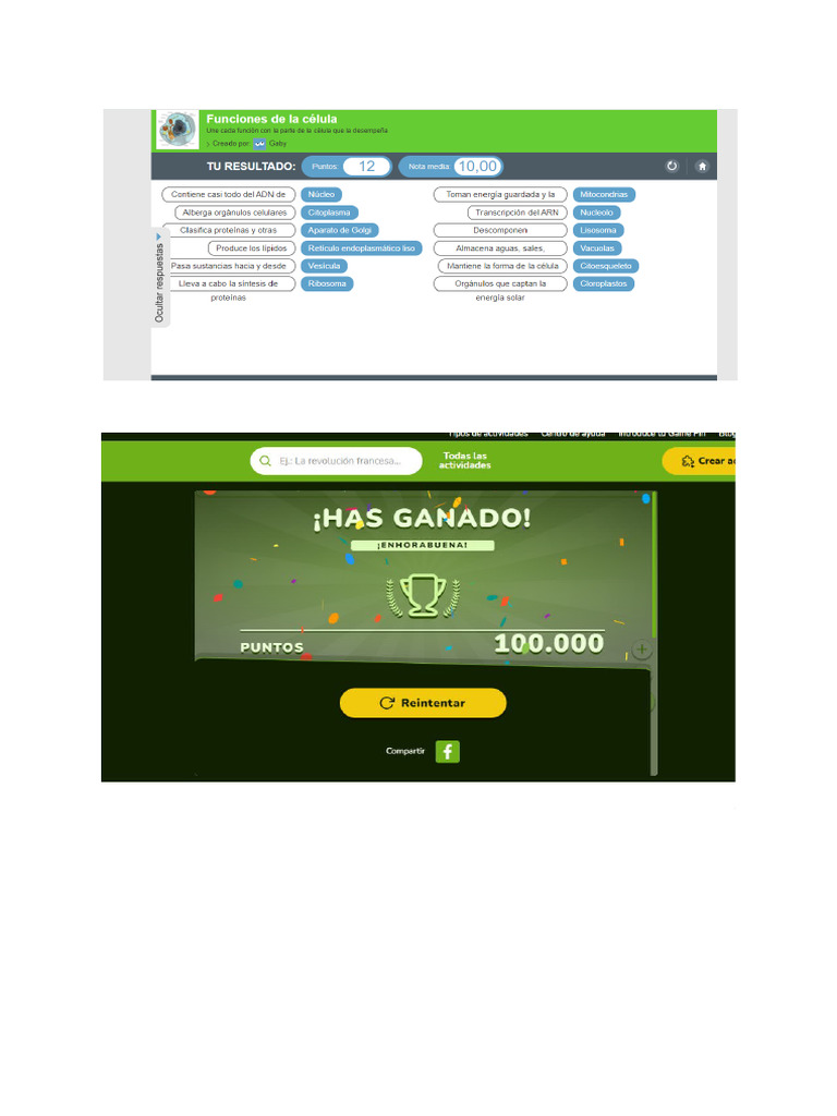 Puntaje | PDF