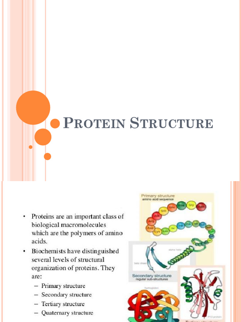 Lecture 4-5-Protein Structure Prediction | PDF | Bacteriorhodopsin | Proteolysis