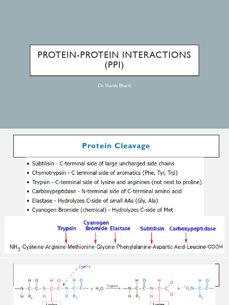 Lecture 6-8- PPI | PDF | Immunoprecipitation | Protein–Protein Interaction