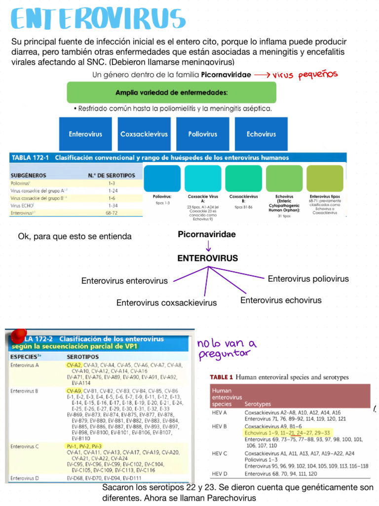 ENTEROVIRUS | PDF | Virus | Especialidades Medicas