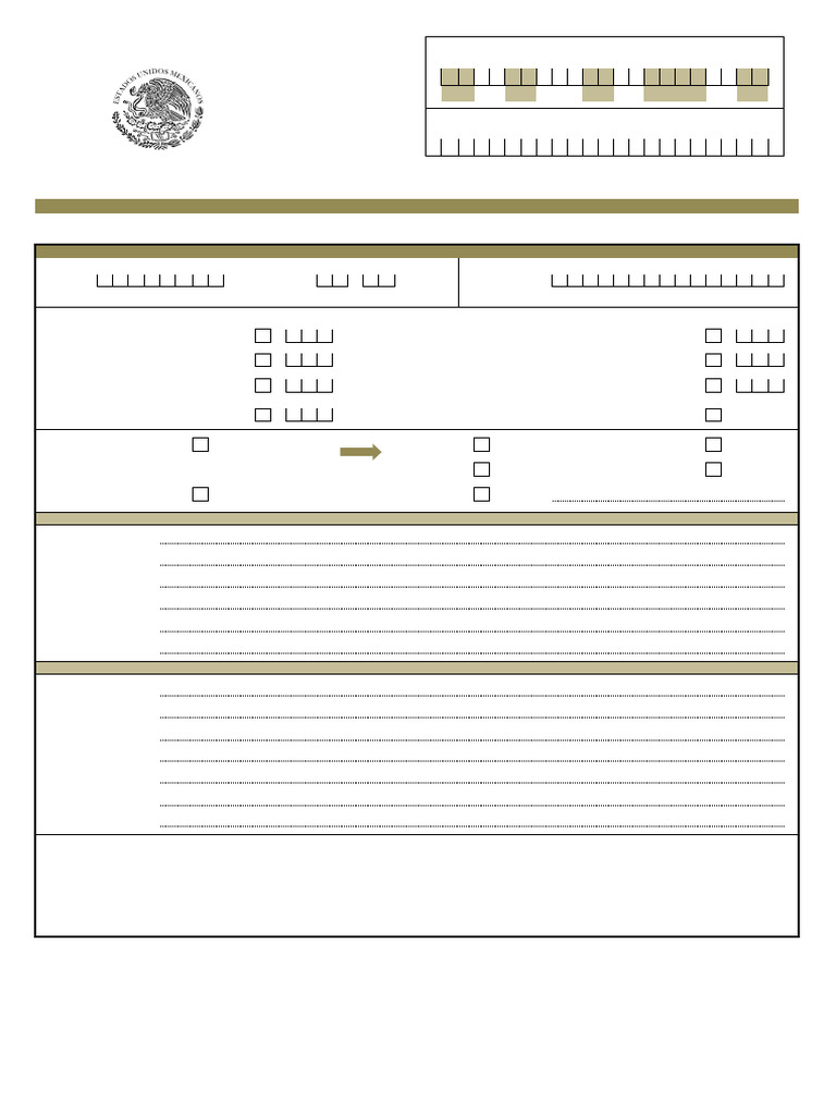 Formatos IPH Gratis | PDF | Armas de fuego | Policía