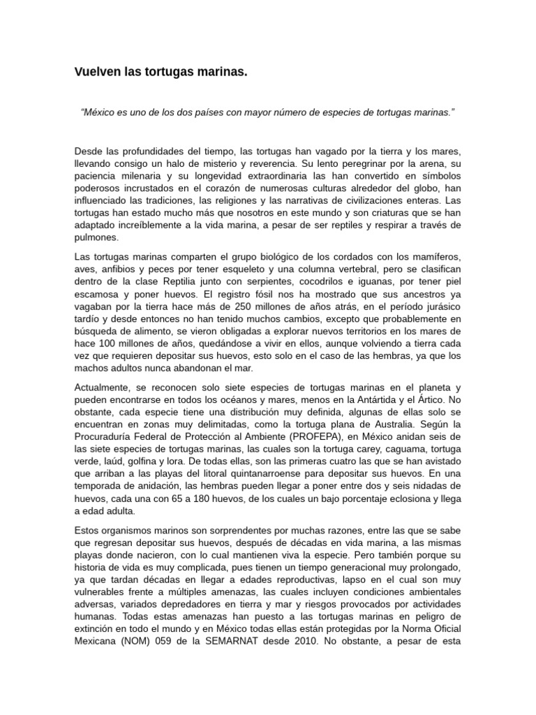 Vuelven Las Tortugas Marinas. | PDF | Reptil | Tortuga
